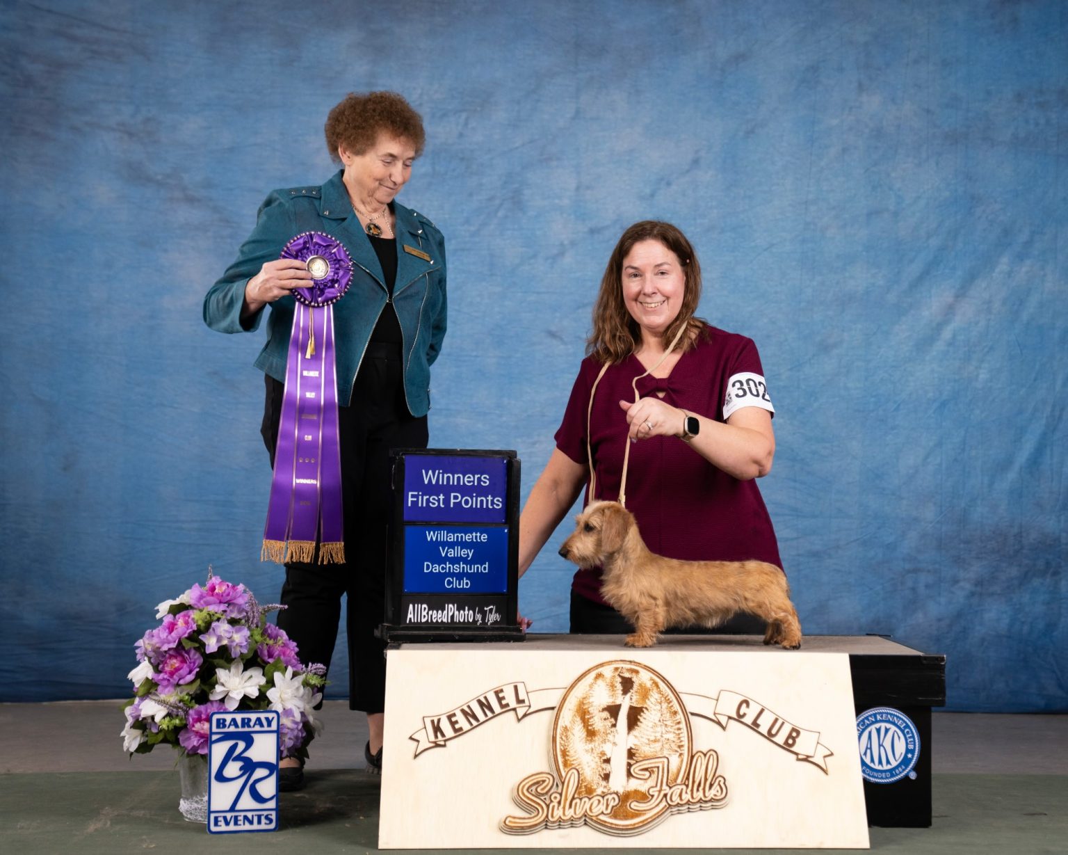 Harriet – Holliesue Dachshunds